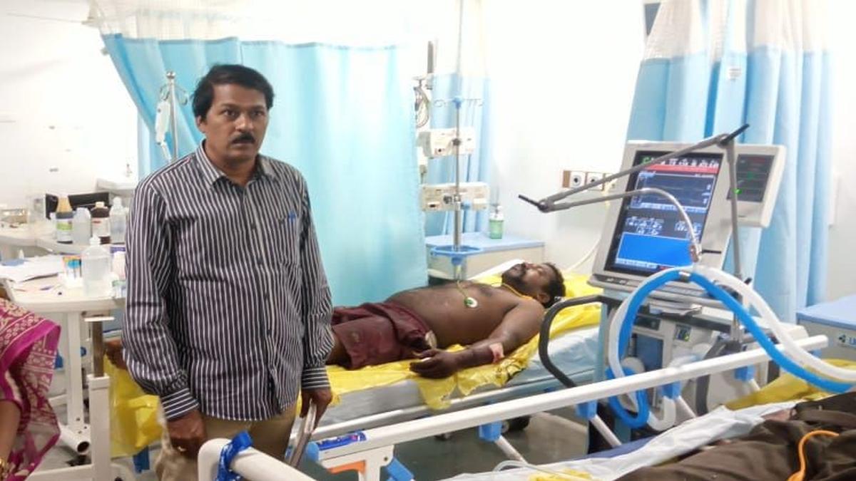 Andhra Pradesh: Eight farmers injured in bear attack in Srikakulam ...