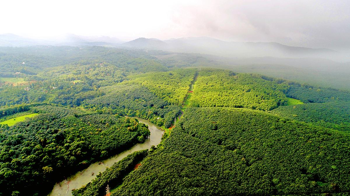 Government resume works to acquire land for Sabarimala airport - The Hindu