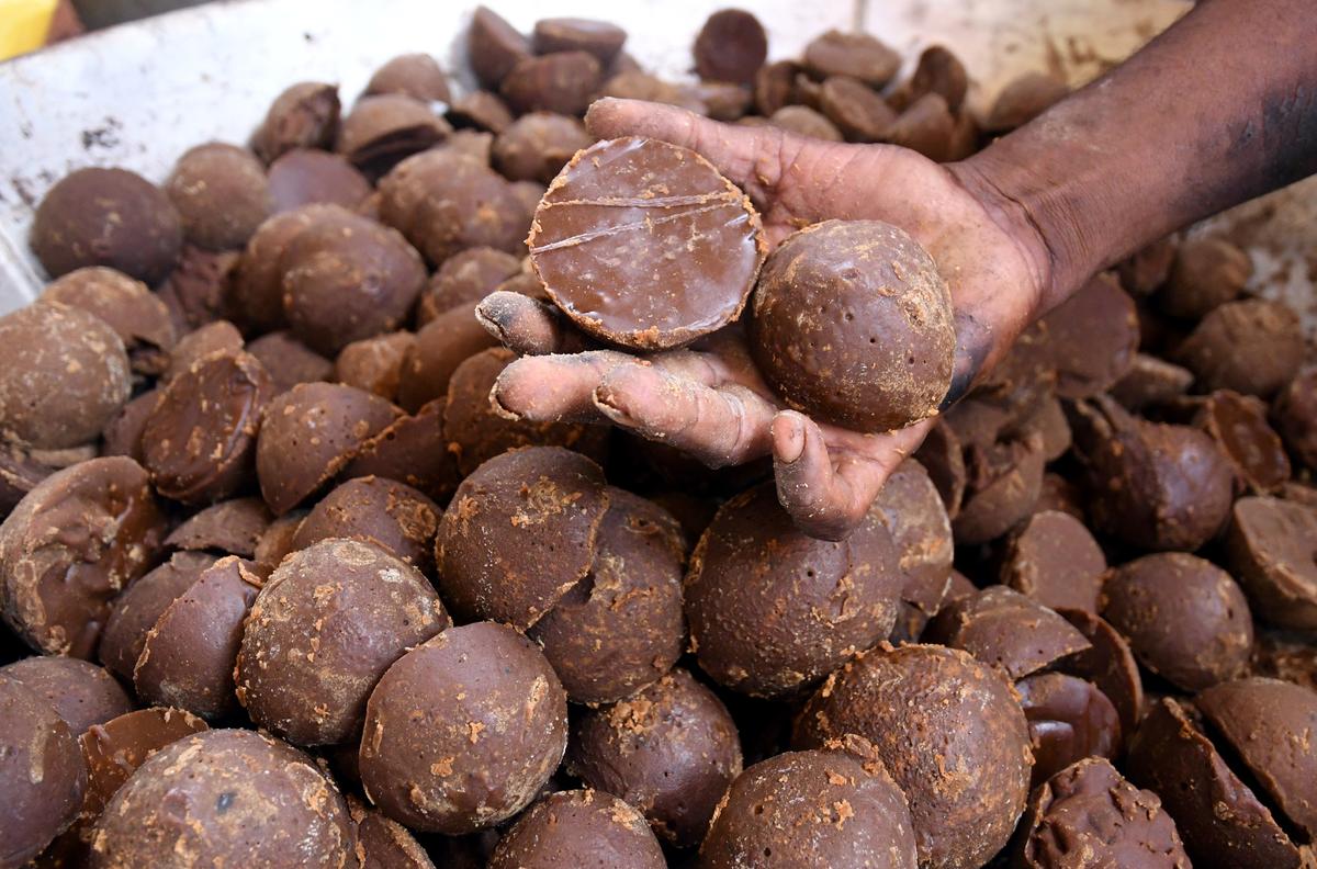 Toddy is banned in Tamil Nadu, but palm jaggery sustains the lives of ...