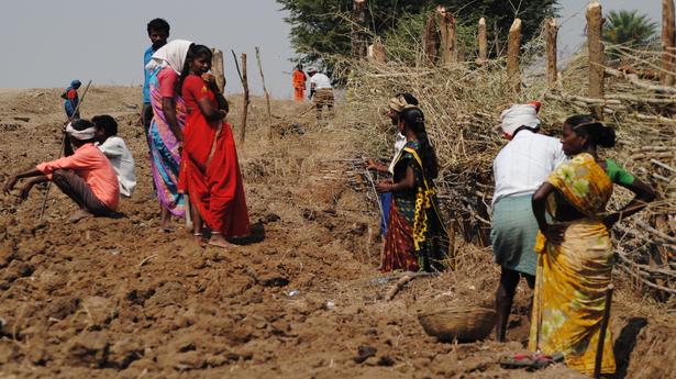 India ranks 132 in UNDP's Human Development Index, amid a global fall ...