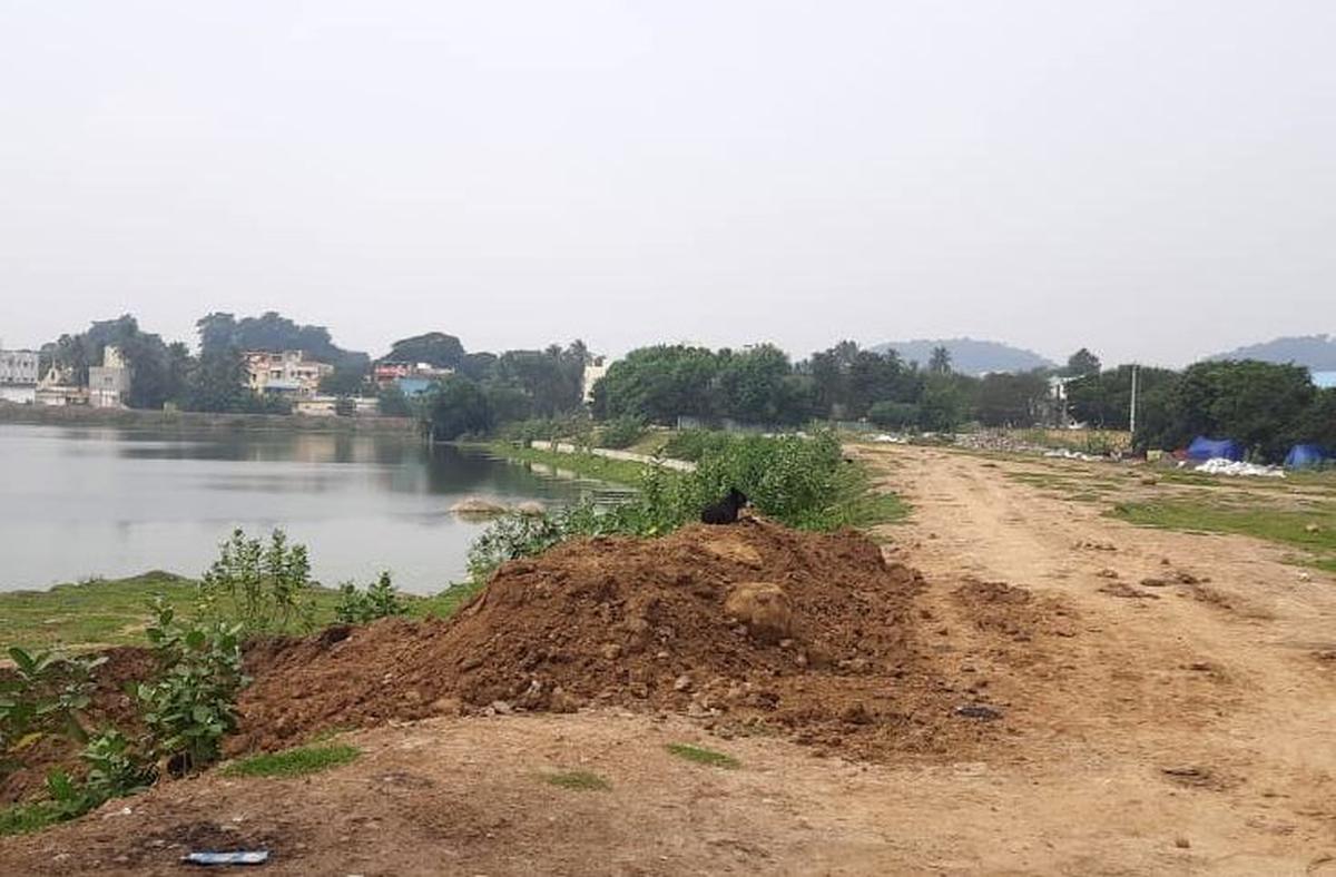 Lack of illumination at Chitlapakkam lake irks regulars - The Hindu