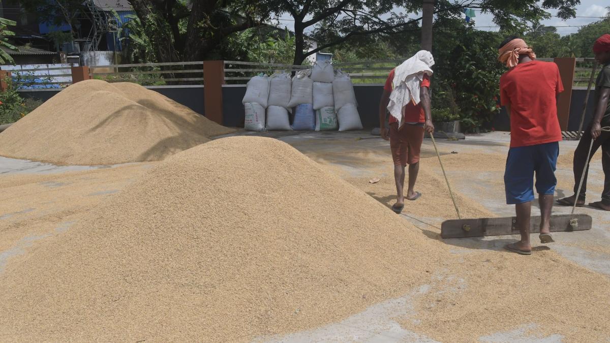 Agriculture census in Kerala to pick up pace by December-end - The Hindu