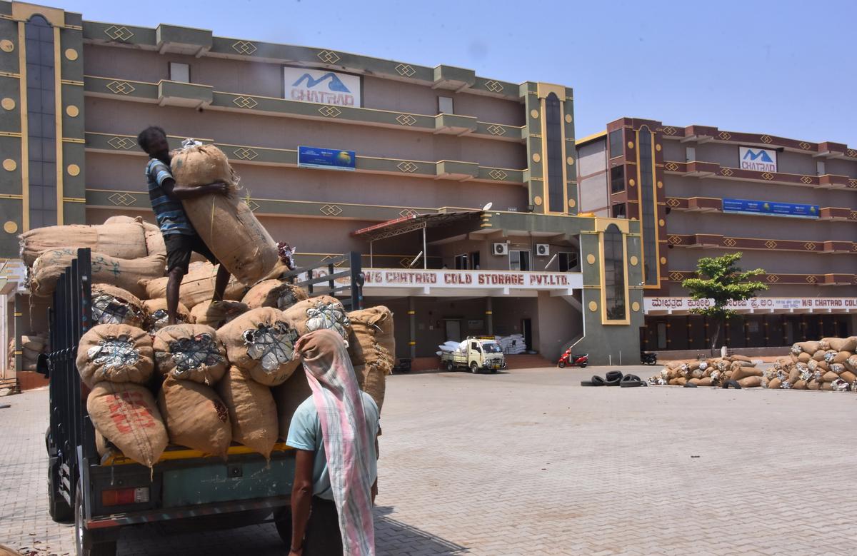 Chilli Auction Chaos: Byadgi Market Unrest - The Hindu