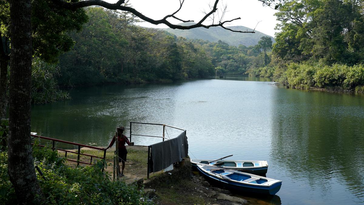 Gavi reopens to tourists after brief shutdown - The Hindu