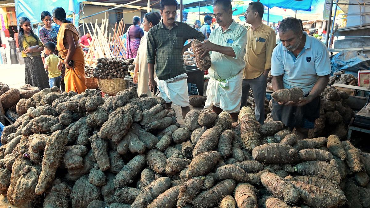 Heritage meets harvest at Omalloor trade fair - The Hindu