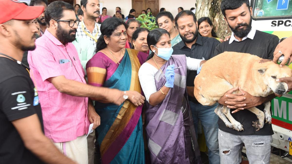 Kerala will be made rabies-free: Minister Chinchurani - The Hindu