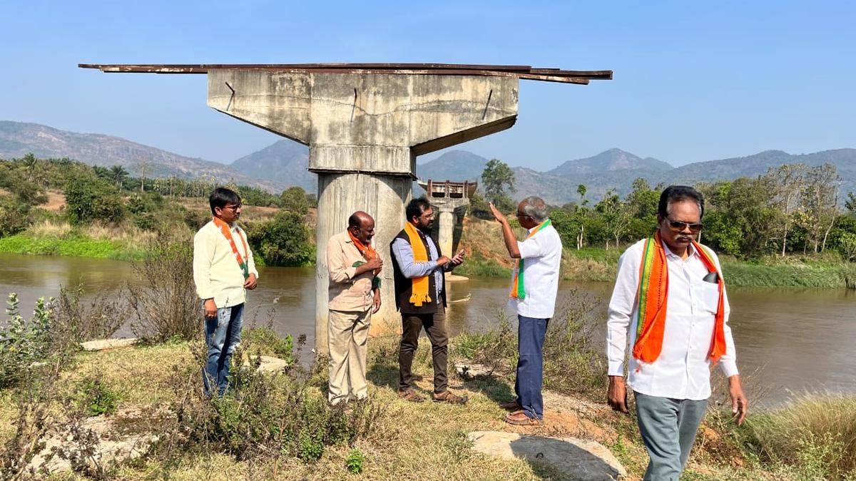 Construct Purnapadu bridge across Nagavali river immediately: BJP - The ...