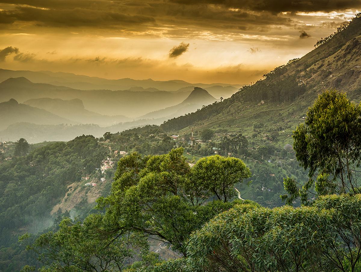 Watch | Two musicians recorded the sounds of the Western Ghats - The Hindu