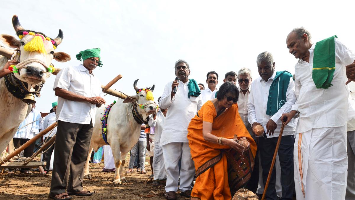 Focus on minimising risks, not on maximising profits, environmentalist ...