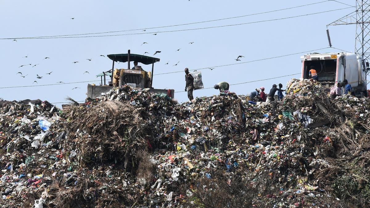 Eco park to be developed in Perungudi at a cost of ₹50 crore, says ...