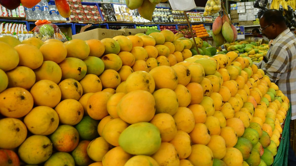 Mango exports via Bengaluru airport grows by 124% in 2023 - The Hindu