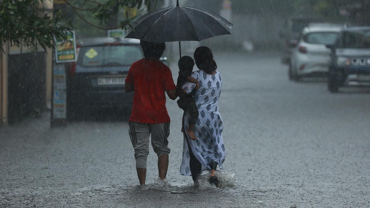 Kochi city receives widespread rain for second consecutive day - The Hindu