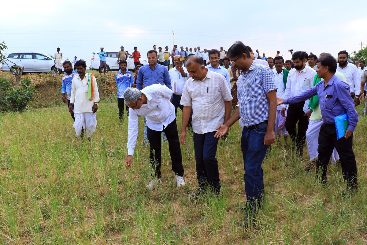 Central team takes stock of drought in Vijayanagara and Ballari ...