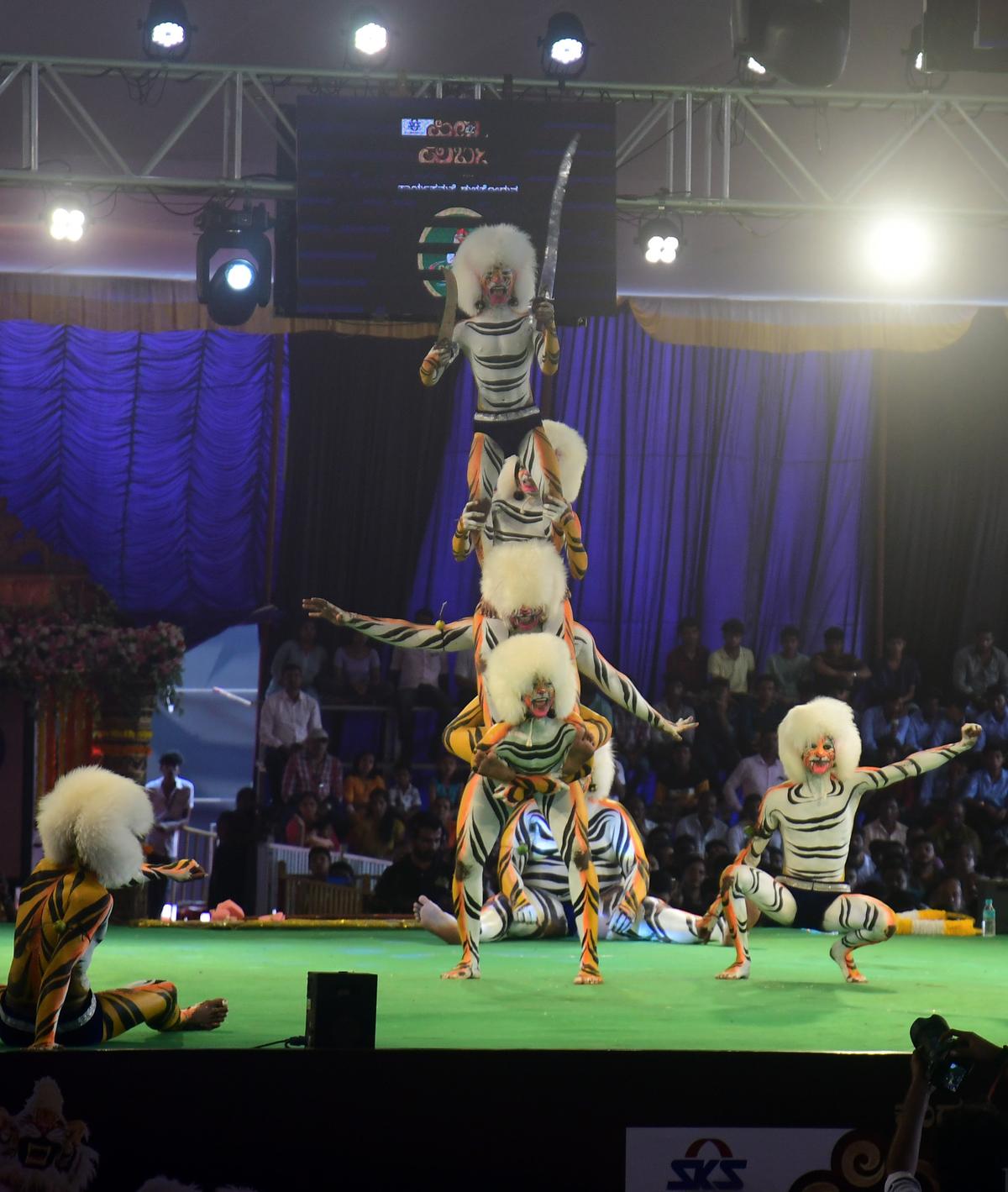 Amid beating of ‘taase’ human tigers dance to tunes of bandset at ‘Pili ...