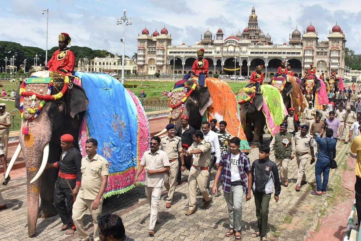 Ceremonial reception at Mysuru palace for Dasara elephants - The Hindu