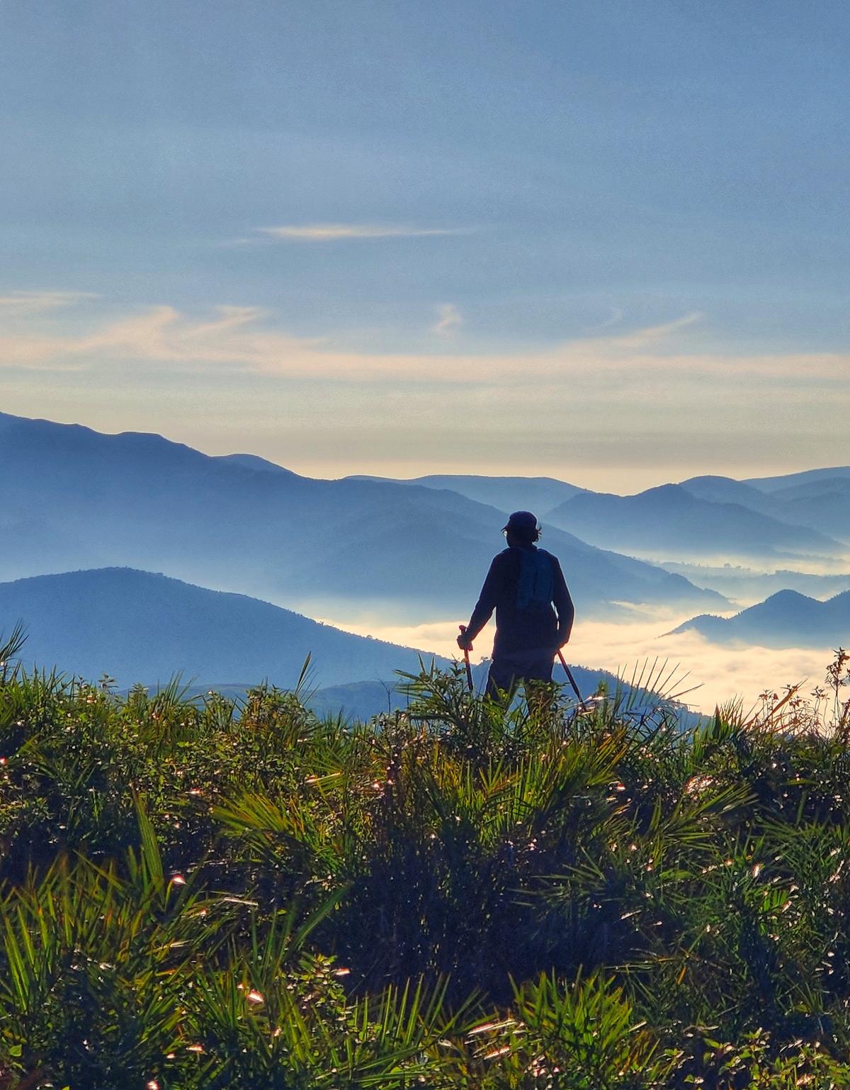 Engage with nature through summer camps and activities in Visakhapatnam ...