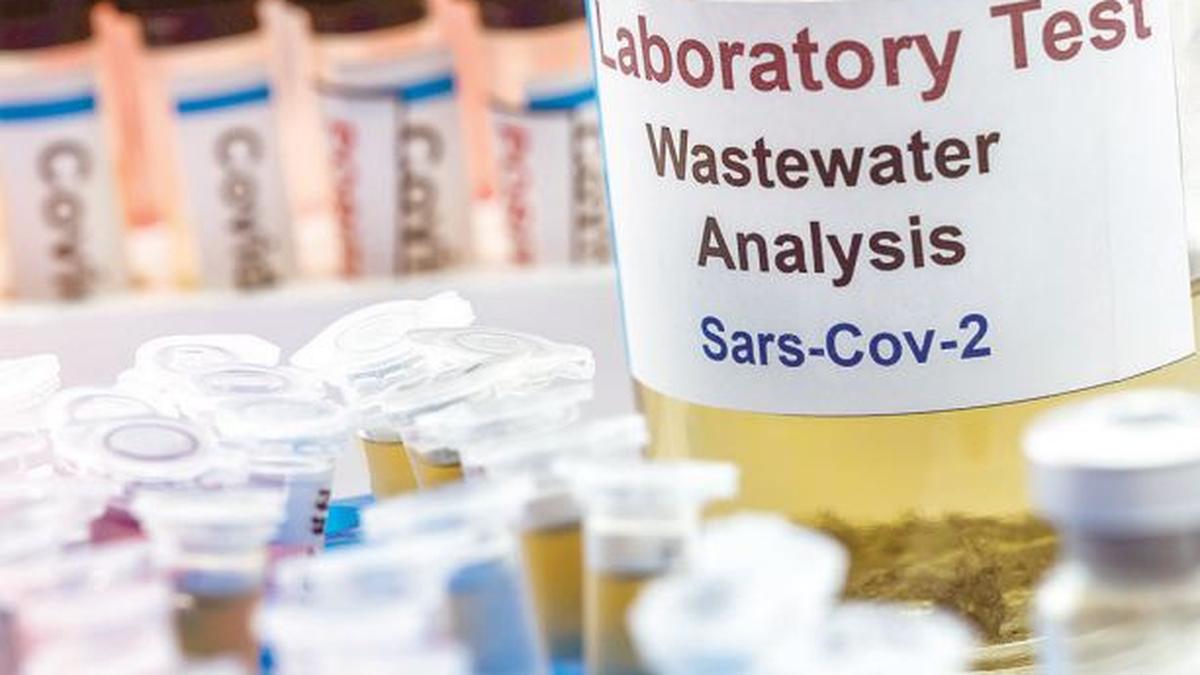 Wastewater surveillance reveals infection dynamics - The Hindu