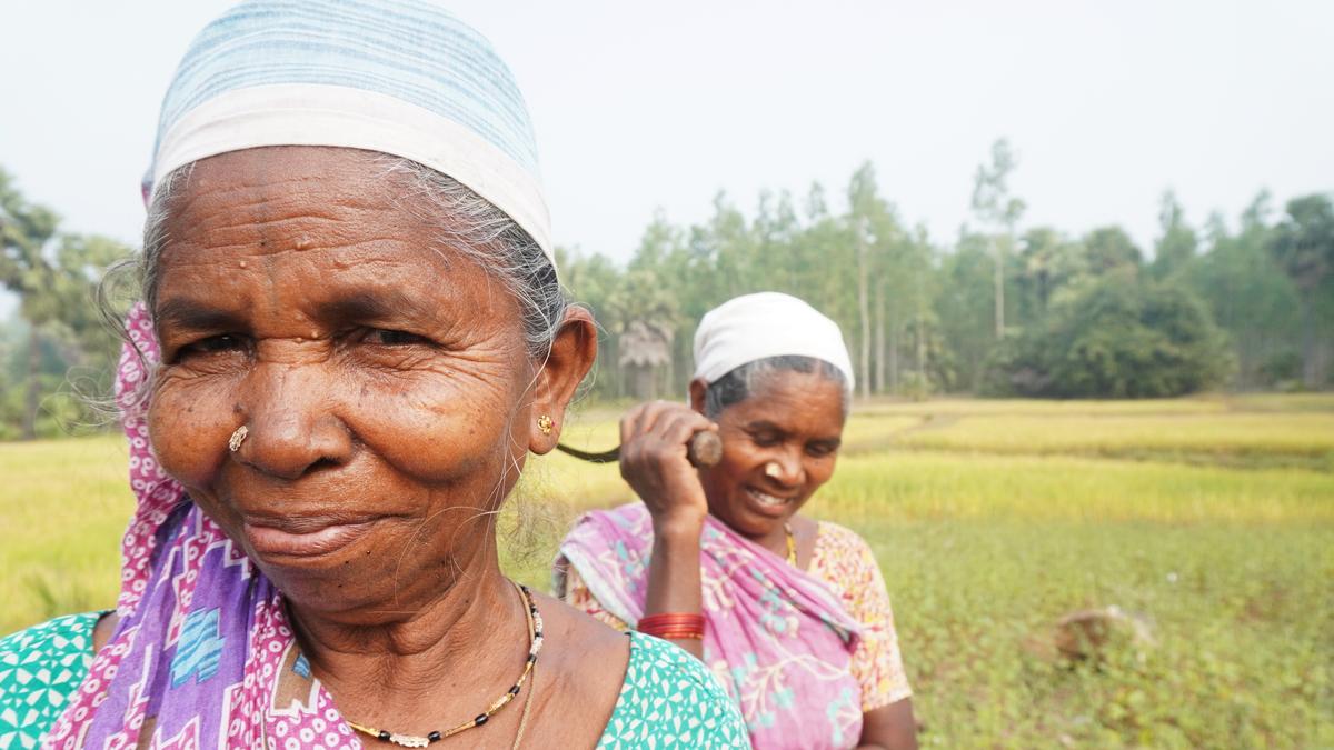 In Andhra Pradesh, Koya tribe’s ‘Vetti’ custom helps keep farm distress ...