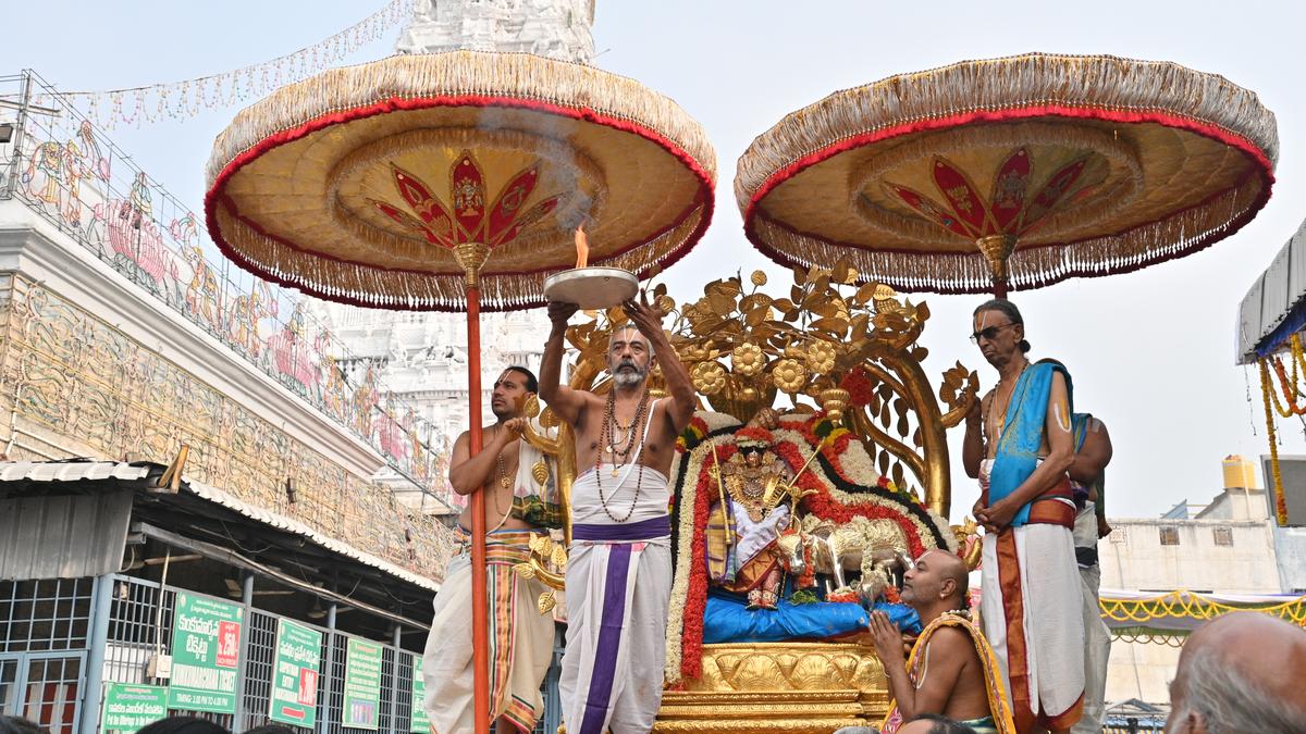 Goddess Padmavati rides ‘Kalpa Vriksha Vahanam’ on fourth day of ...