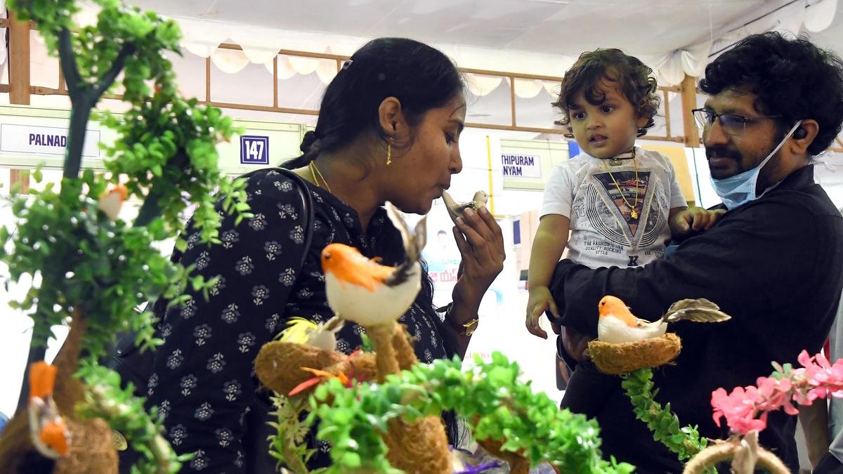 Deputy CM inaugurates All India DWCRA Bazaar in Visakhapatnam - The Hindu