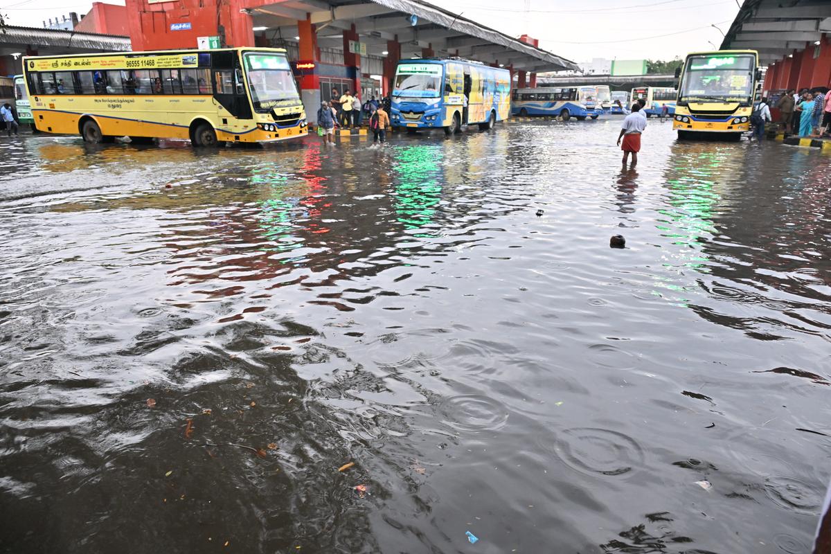 Coimbatore rain: SDRF team stationed, city areas inundated - The Hindu