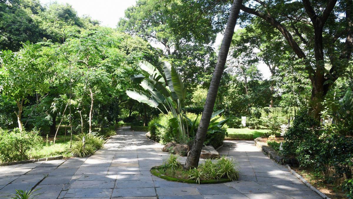 A peek into a park, at the heart of Chennai, at Gopalapuram - The Hindu