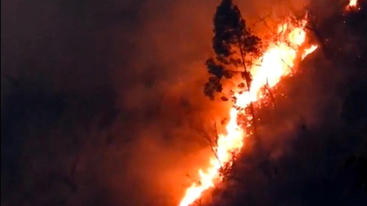 Forest fire in Kodaikanal rages for more than 20 hours - The Hindu