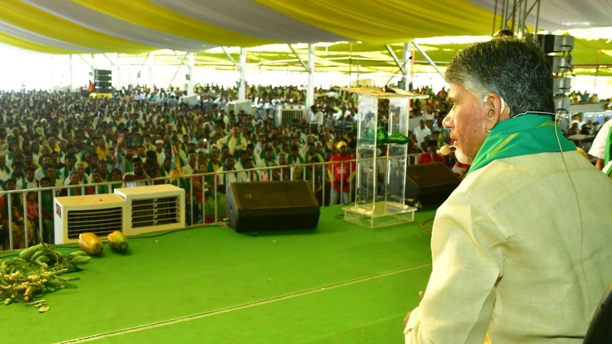Chandrababu Naidu promises to make farming profitable if TDP wins in Andhra Pradesh - The Hindu