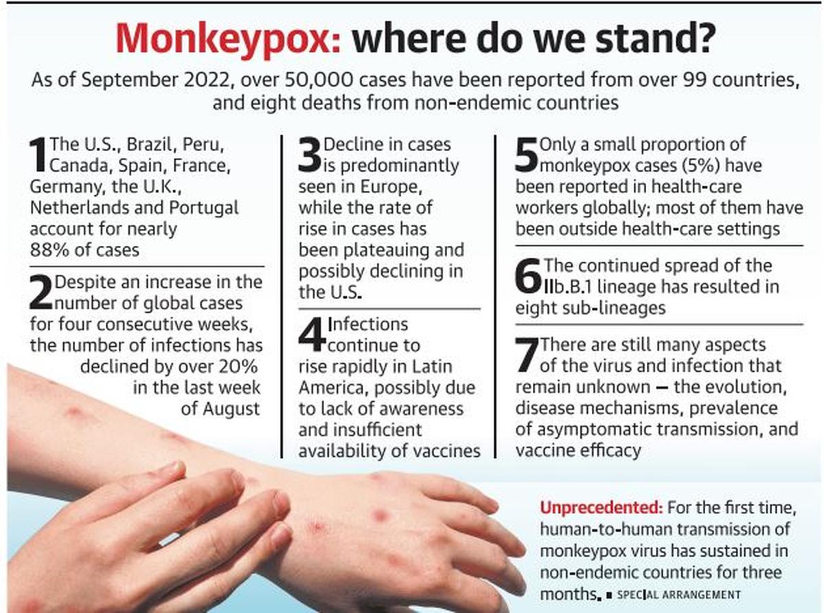 New sub-lineages of monkeypox virus emerge - The Hindu