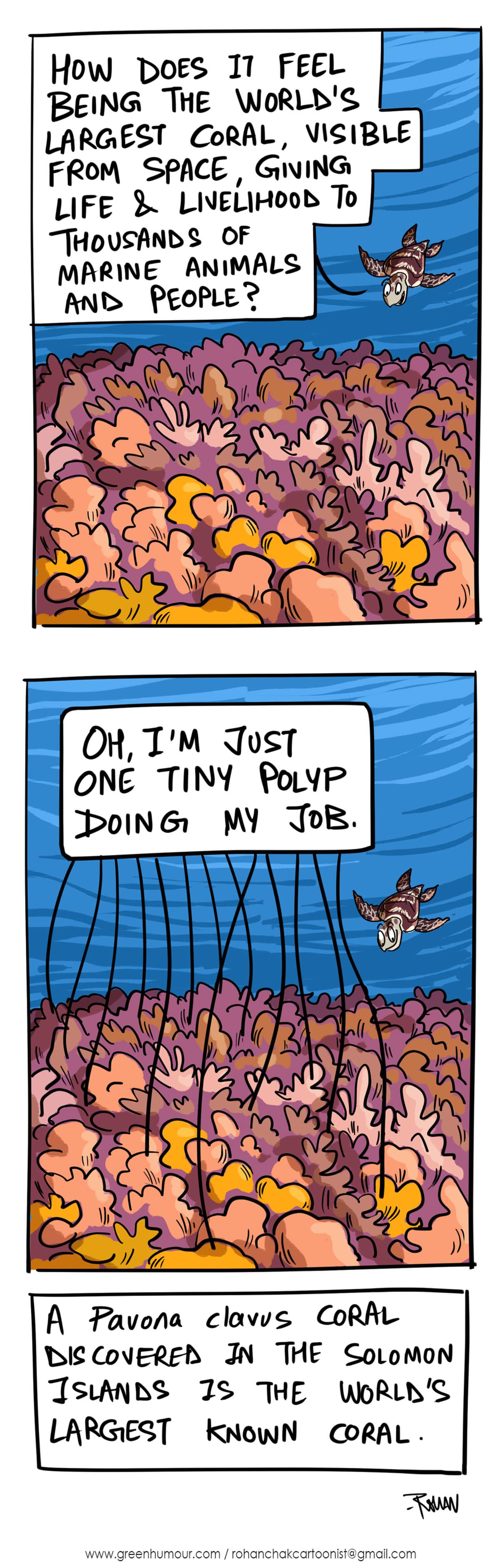 Green Humour by Rohan Chakravarty on the world’s largest known coral ...