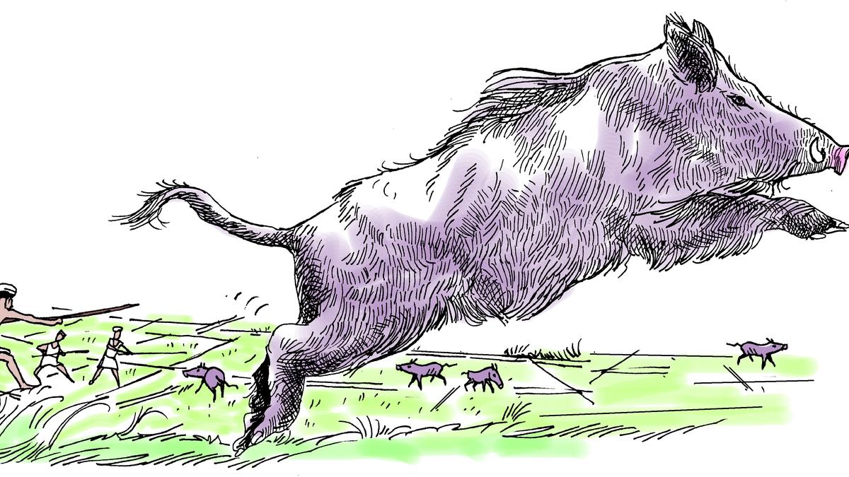 Panel in T.N. to explore integrated approach to tackle menace of wild ...