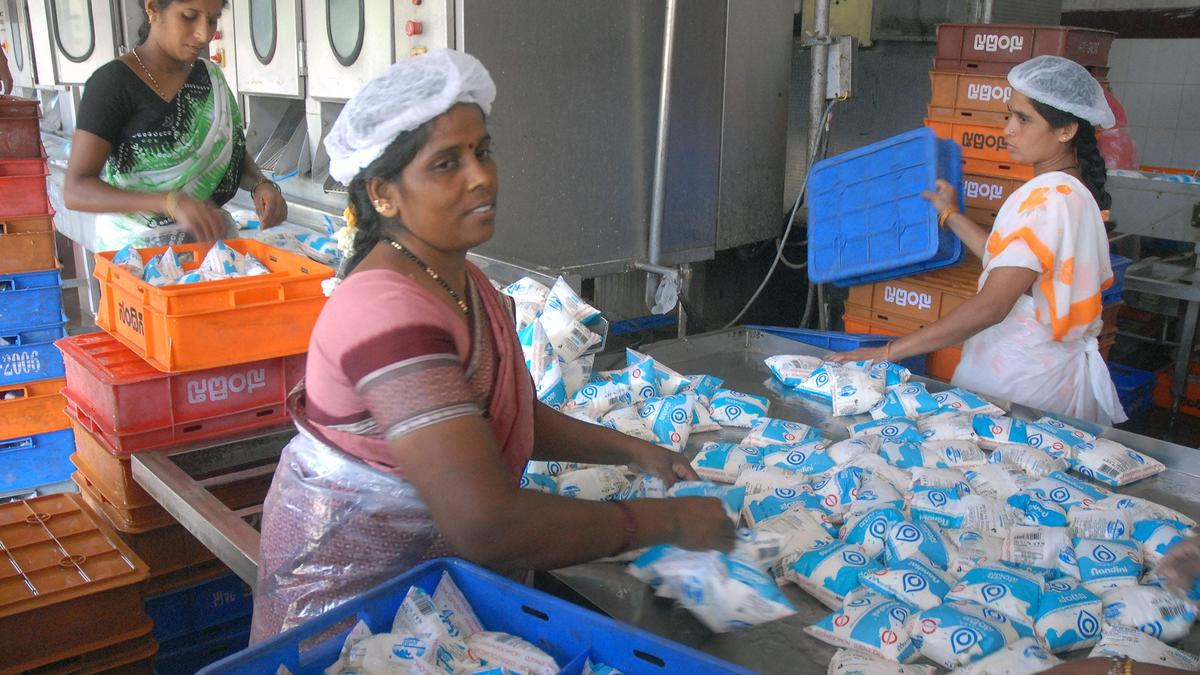 Milk procurement price hiked in Mysuru as summer sets in - The Hindu