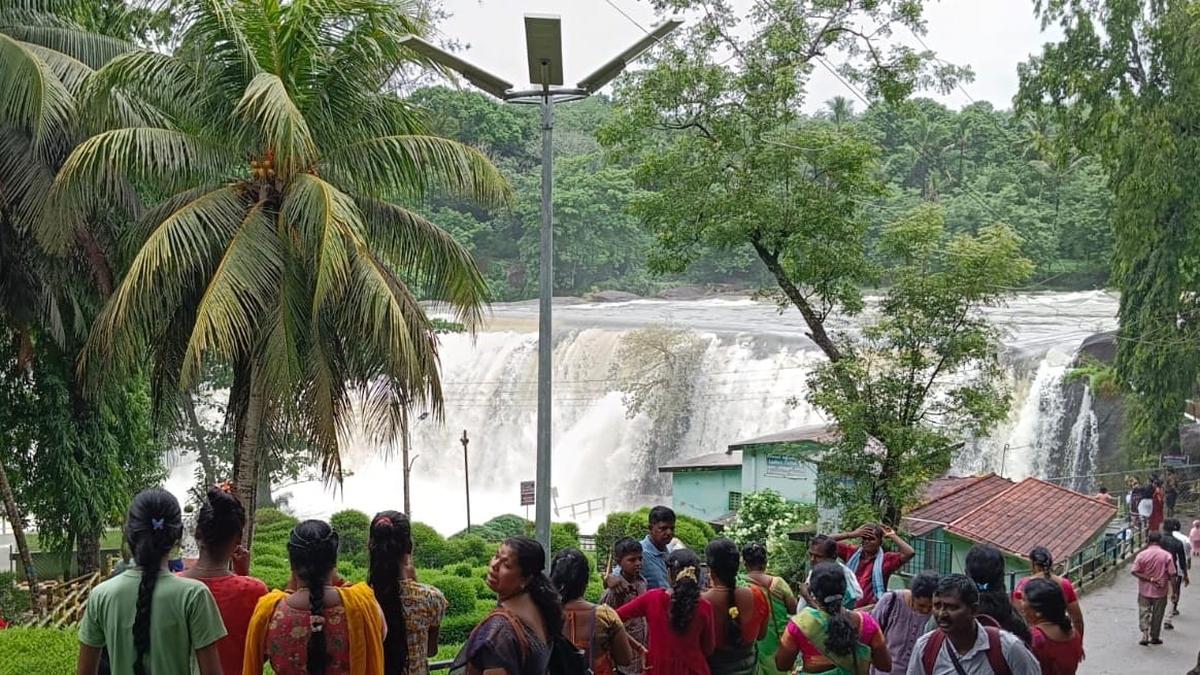 Widespread rains in Kanniyakumari, Tenkasi and Tirunelveli districts ...