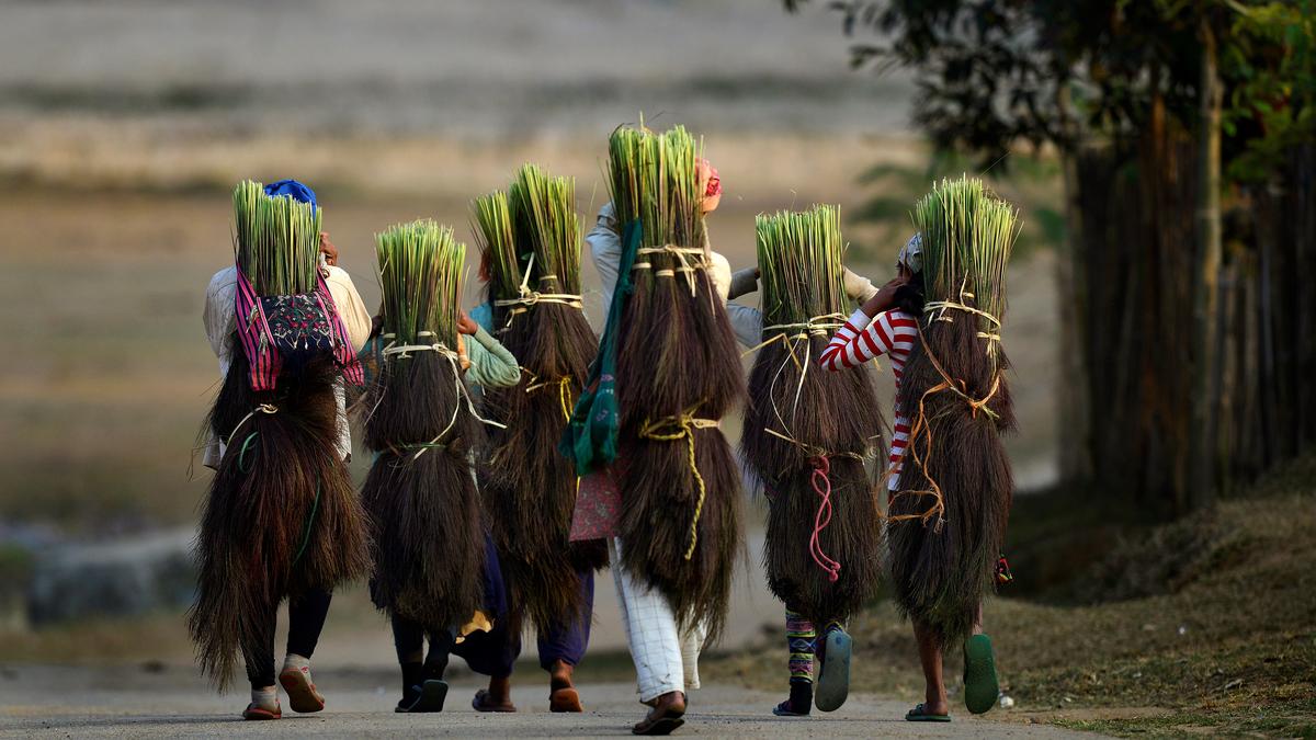 In frames: The flight of brooms - The Hindu