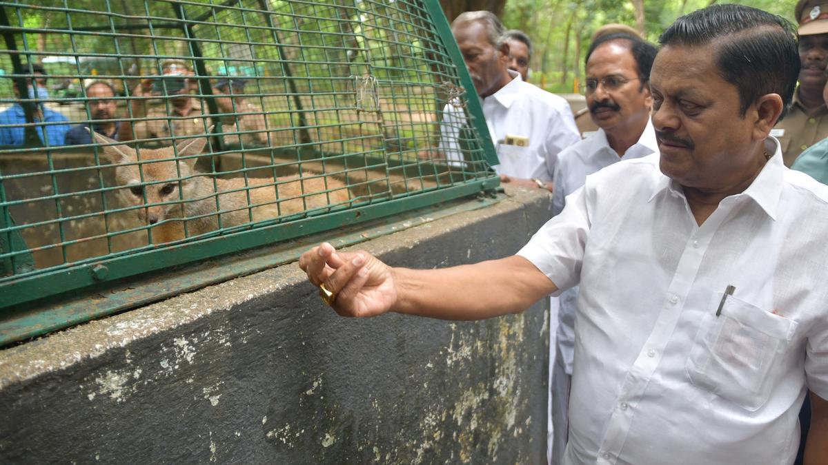 Kurumbapatti Zoological Park will be expanded: Forest Minister - The Hindu