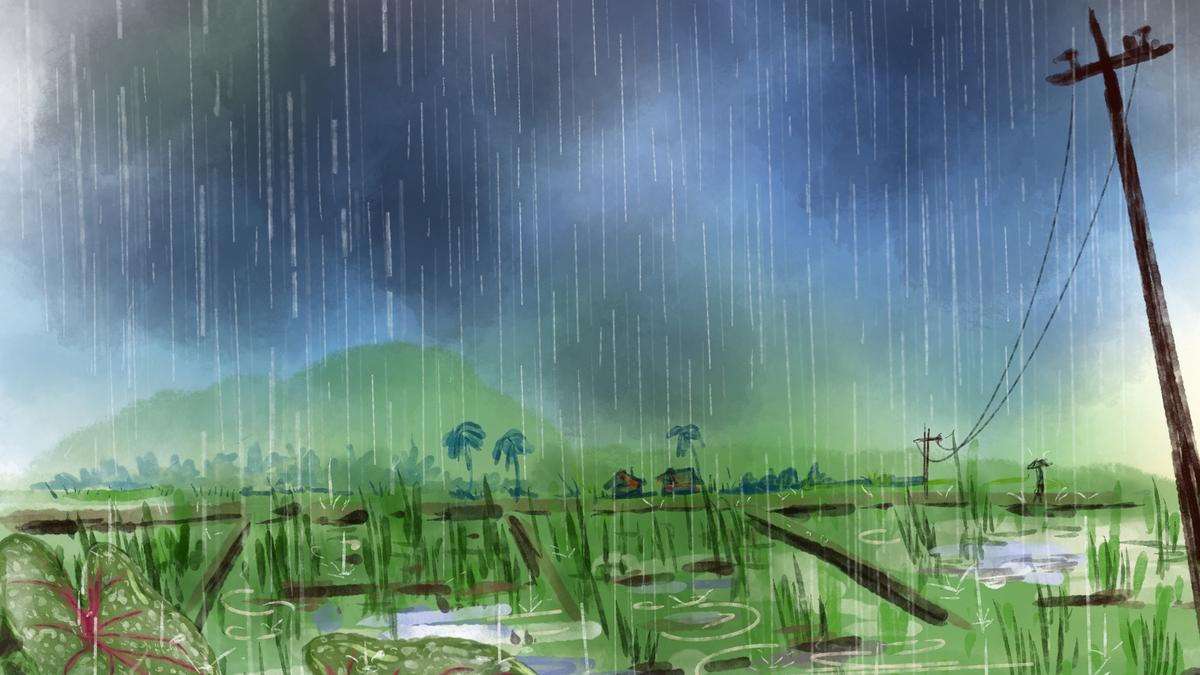 The many moods of the monsoon - The Hindu