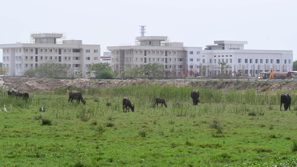 Five new government medical colleges in A.P. nearing completion - The Hindu