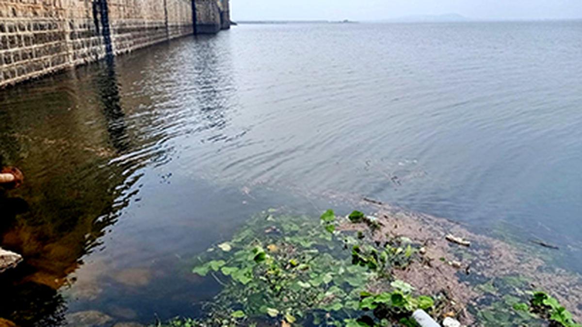 Necessary steps will be taken to desilt Vaigai dam, State tells HC ...