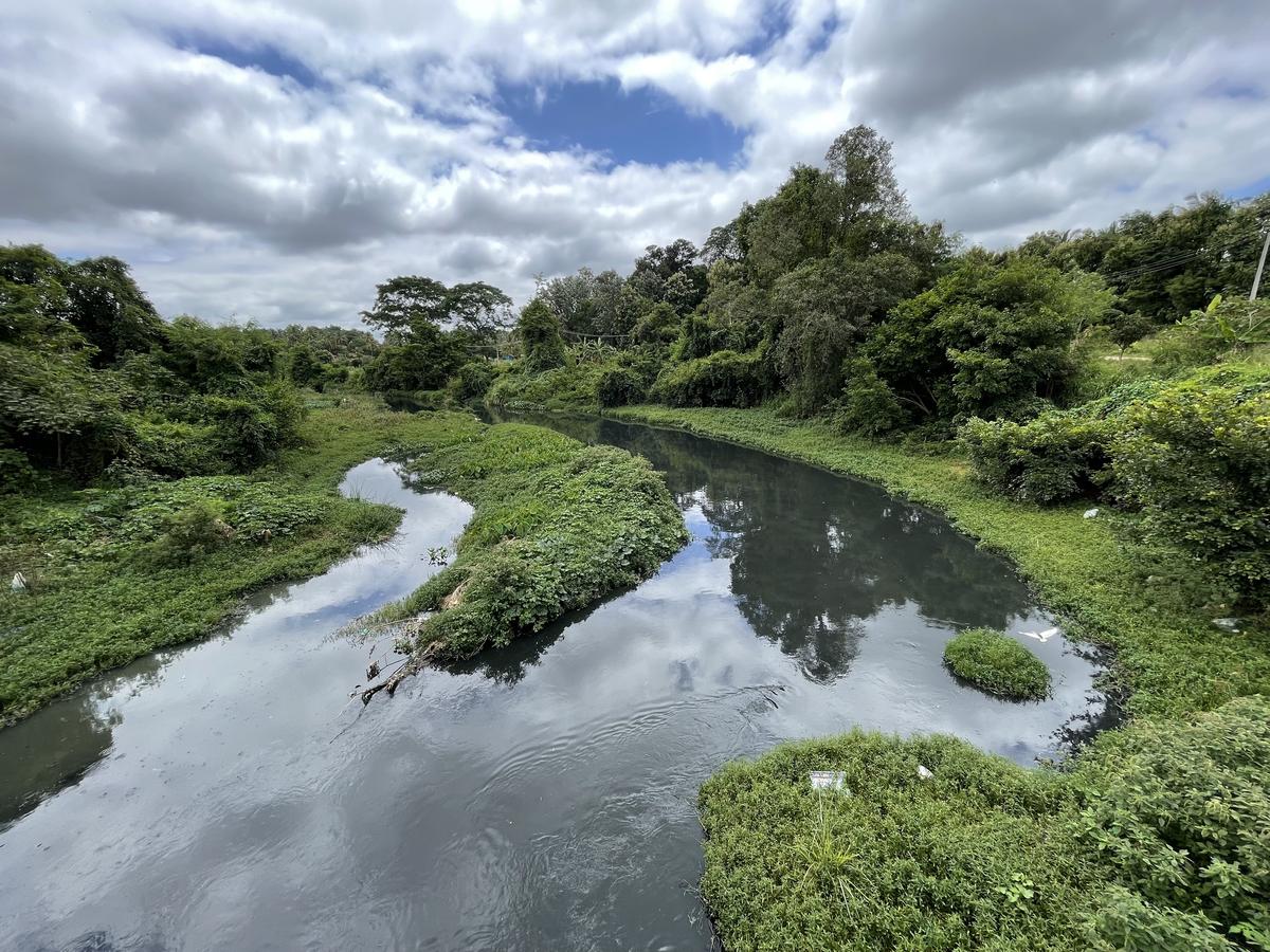 Bringing a ‘ghost river’ back to life - The Hindu