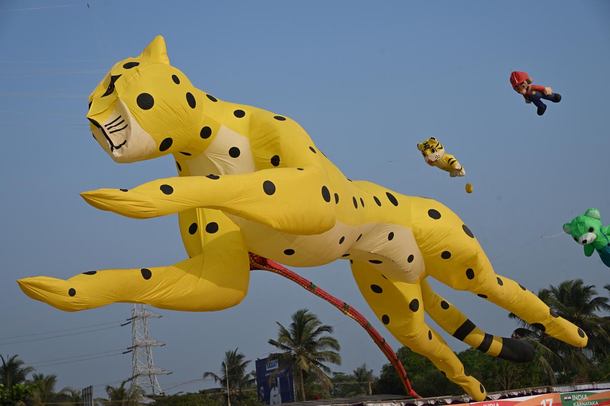 Variety of kites adorn the sky at Tannirbhavi beach as Mangaluru ...