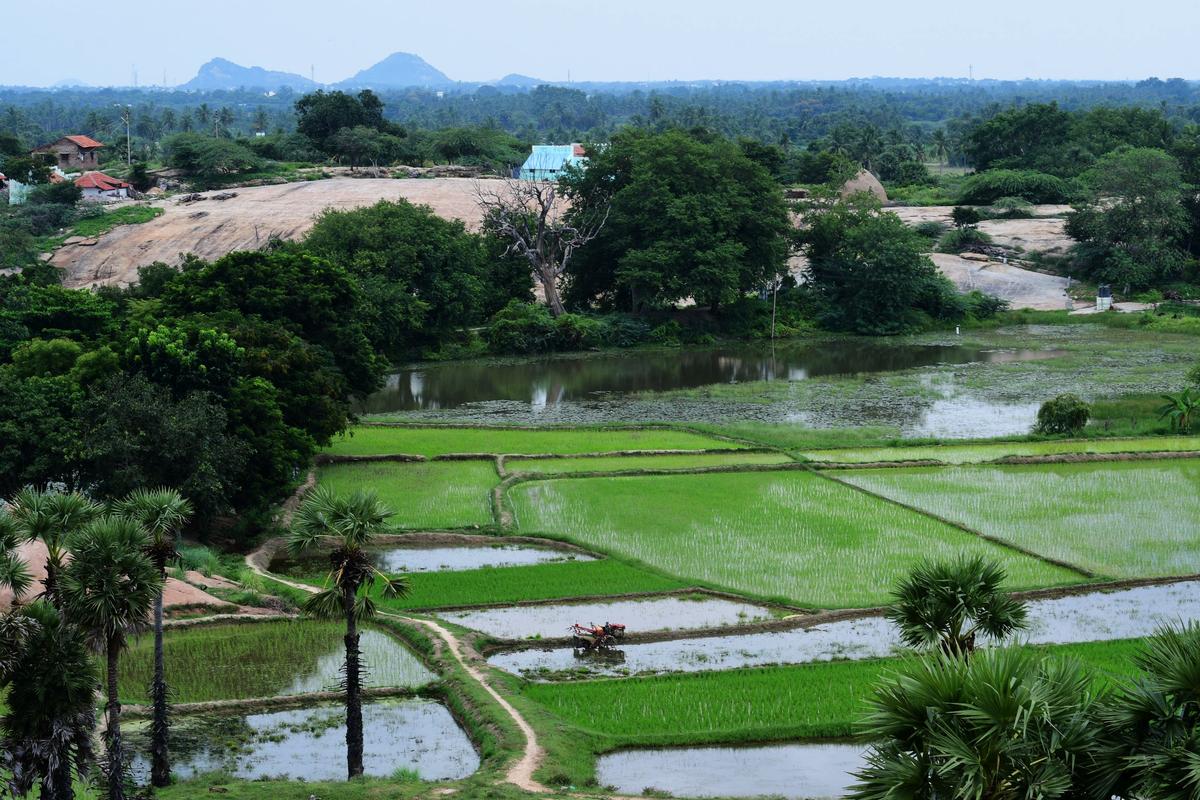 Arittapatti: a picture of rich heritage, culture and biodiversity - The ...