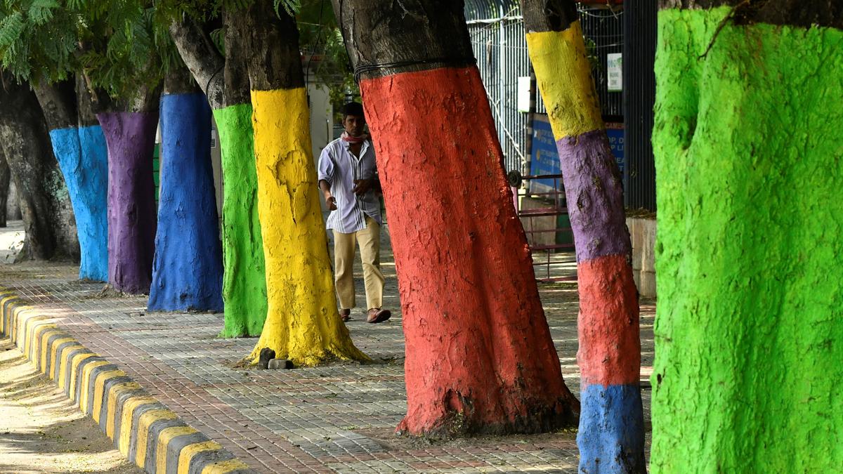 GHMC to apply emulsion paint on tree trunks as part of city ...