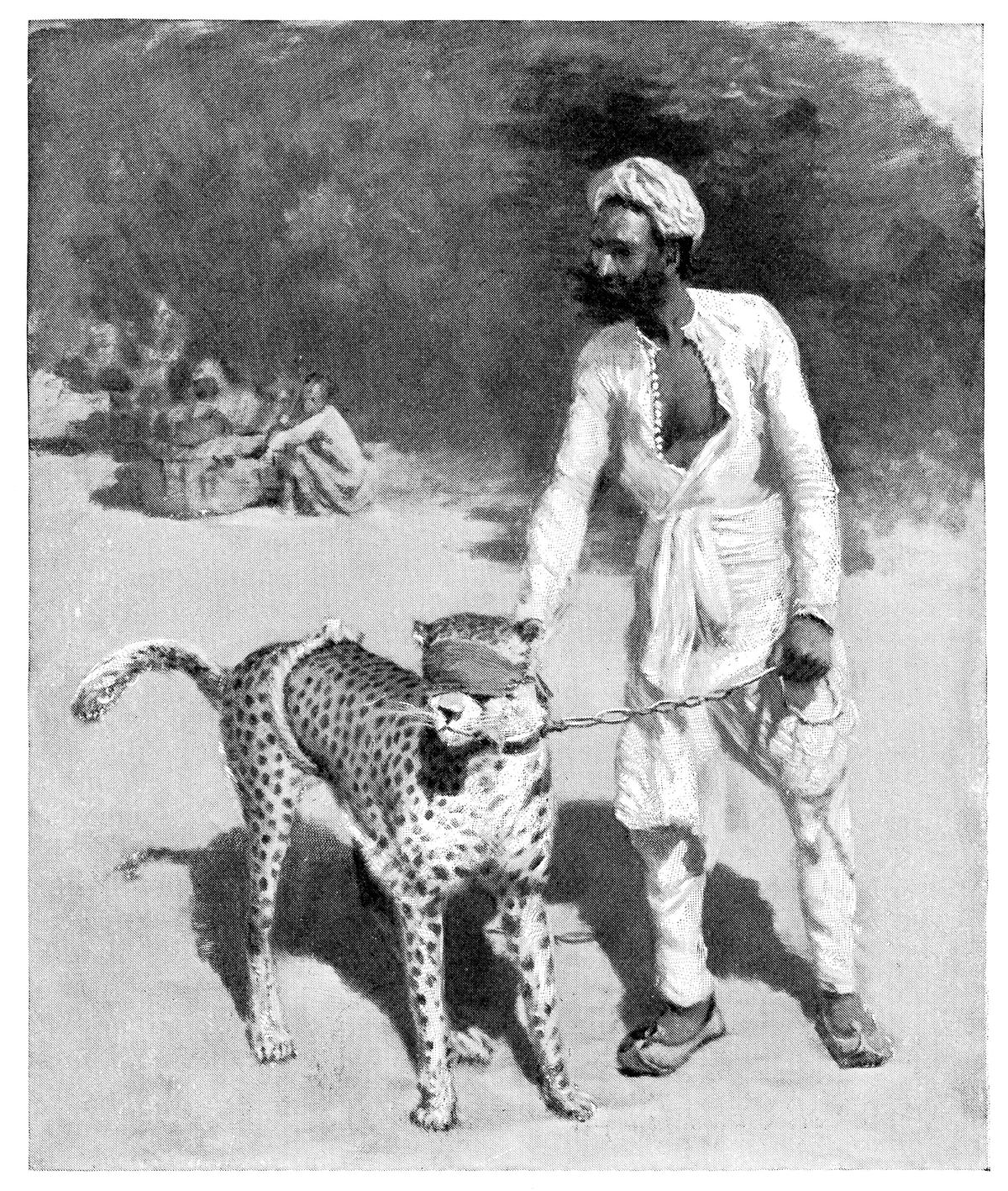 Review of Divyabhanusinh’s The Story of India’s Cheetahs: A spotted ...