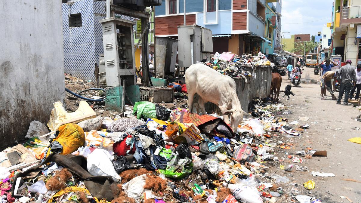 Greater Chennai Corporation begins monitoring 107 waste-dumping ...