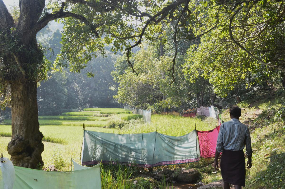 Jaladam Valley, home to the Konda Reddi tribe, offers a glimpse into a ...
