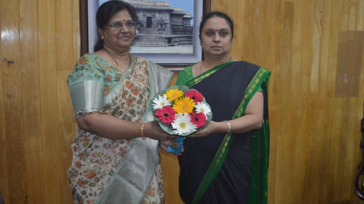 New Hassan DC takes charge - The Hindu