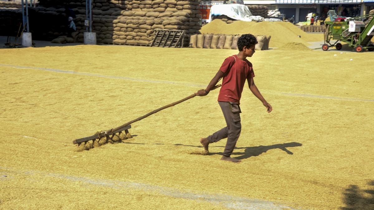 Centre gives month-wise plan with highest rail rakes to Punjab for ...