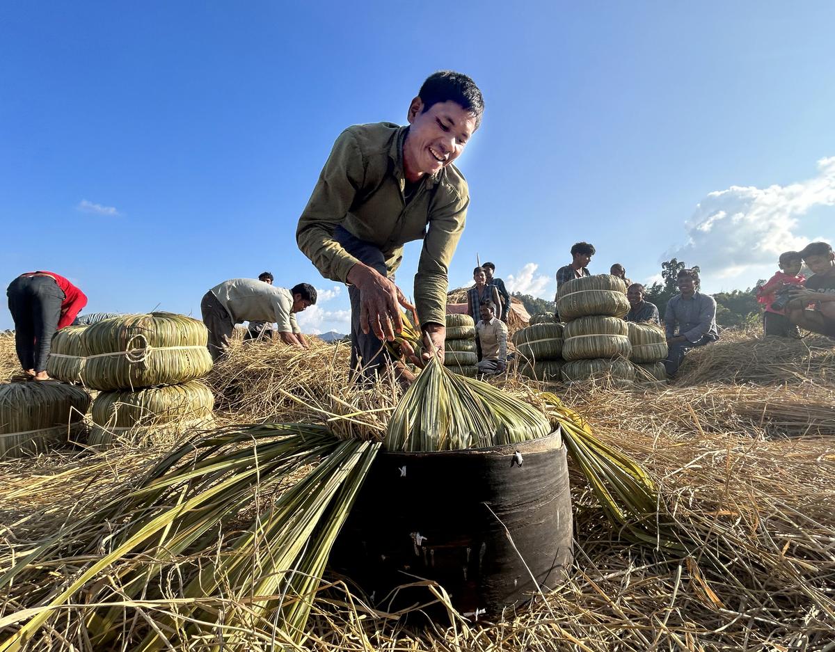 Exploring the Unique Tribal Traditions and Sustainable Economies in ...
