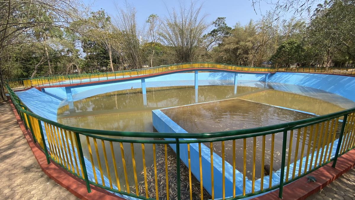 Rejuvenated Gangana Palla inside Kadri Park set for inauguration on ...