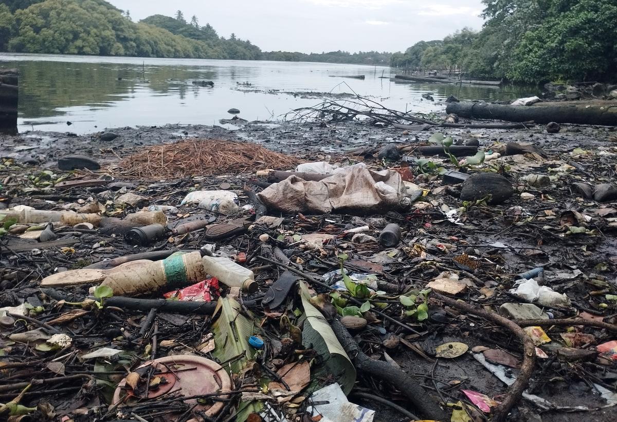 which river is the most polluted river in india